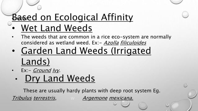 weed management ppt.pptx