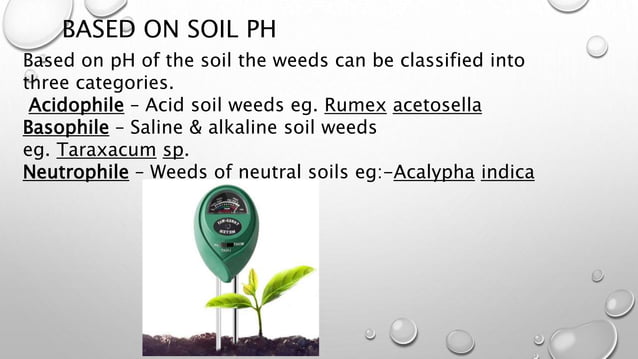 weed management ppt.pptx