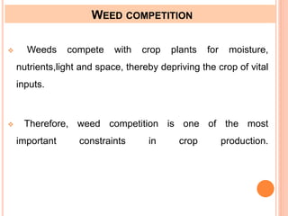 Weed management practices on growth and yield of mungbean under agri ...
