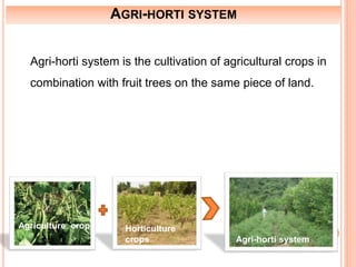 Weed management practices on growth and yield of mungbean under agri ...