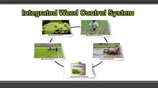 Weed management Systems in Field Crops | PPSX