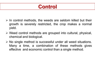 Weed mgt in_vetatables - p | PPT
