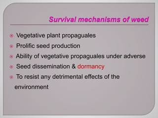 Weed physiology | PPTX