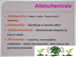Weed physiology | PPTX