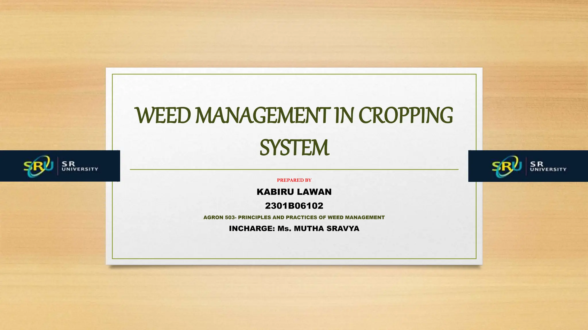 WEED PPT SLIDES.pptfreedownloadddddddddd | PPT