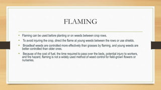 WEED PPT SLIDES.pptfreedownloadddddddddd | PPT