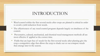 WEED PPT SLIDES.pptfreedownloadddddddddd | PPT