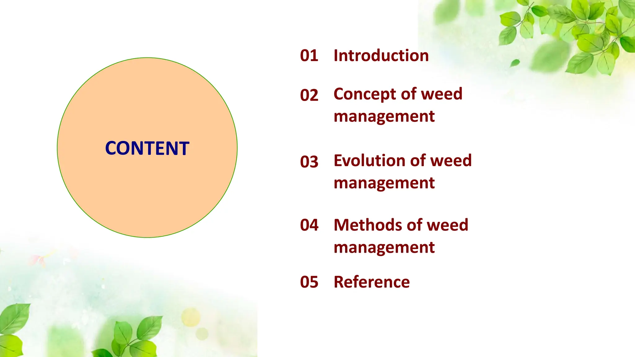 weed ppt sonali Chouhan 1 WPS Office.pptx