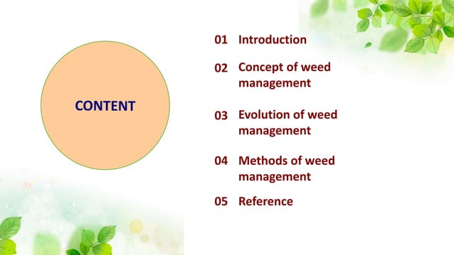 weed ppt sonali Chouhan 1 WPS Office.pptx