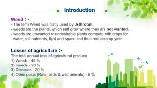 weed ppt sonali Chouhan 1 WPS Office.pptx