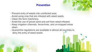 weed ppt sonali Chouhan 1 WPS Office.pptx