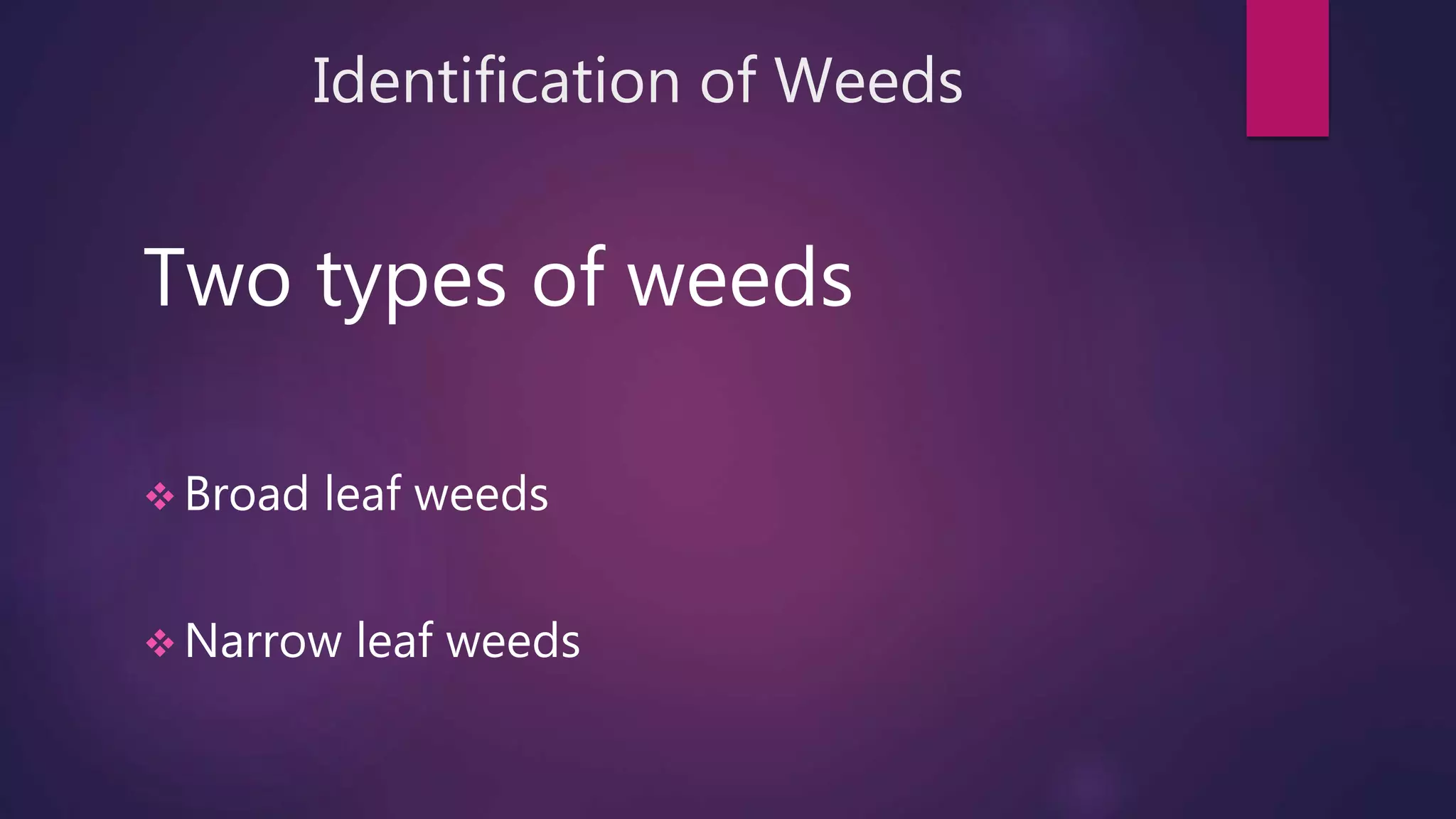 common weeds in pakistan | PPTX