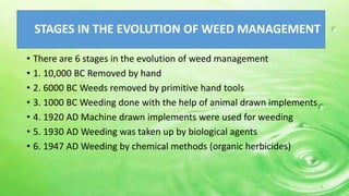 WEED MANAGEMENT IN GROUNDNUT | PPTX