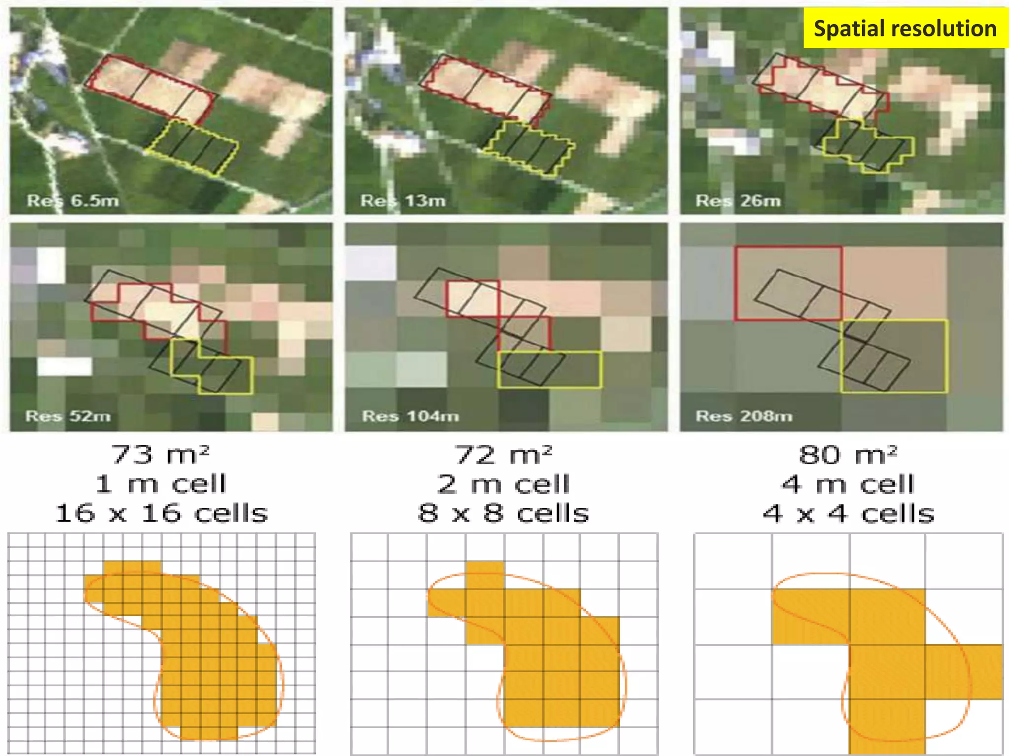 Weed management using remote sensing | PPTX