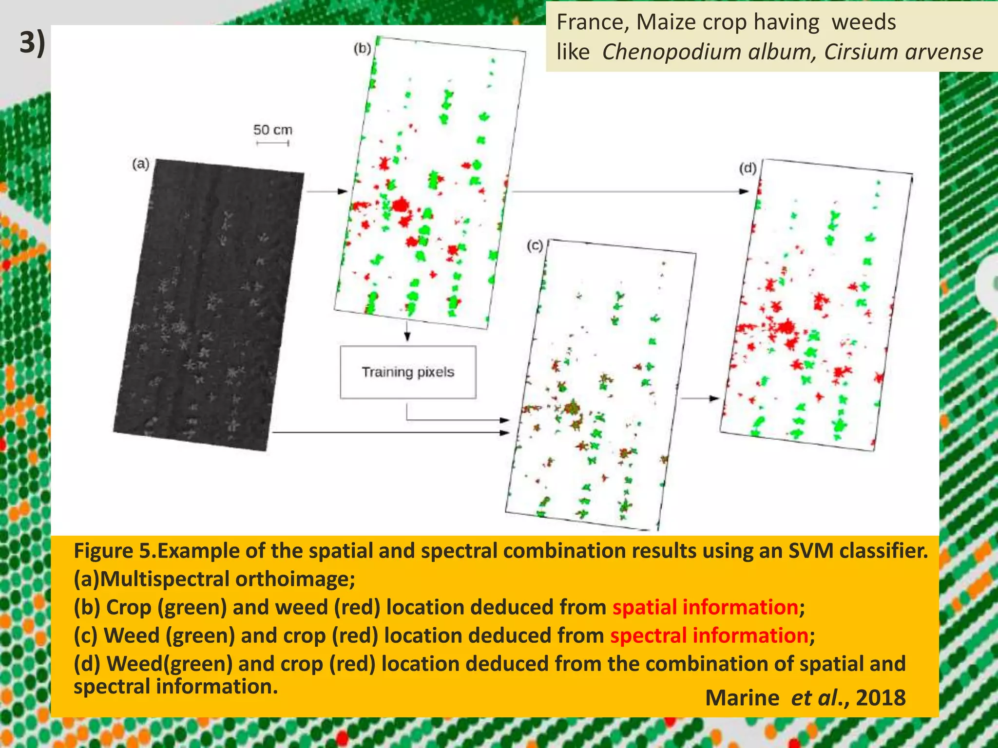 Weed management using remote sensing | PPTX