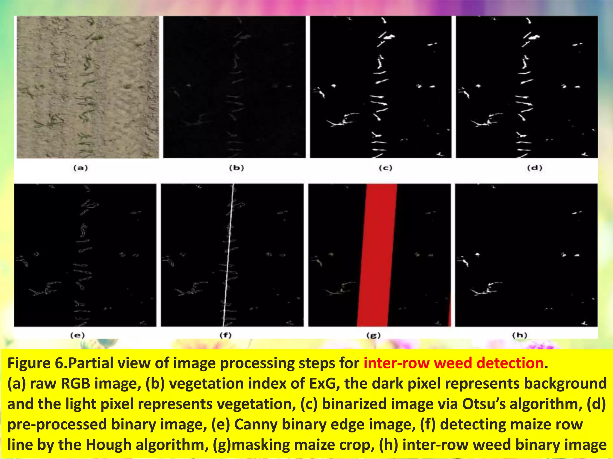 Weed management using remote sensing | PPTX