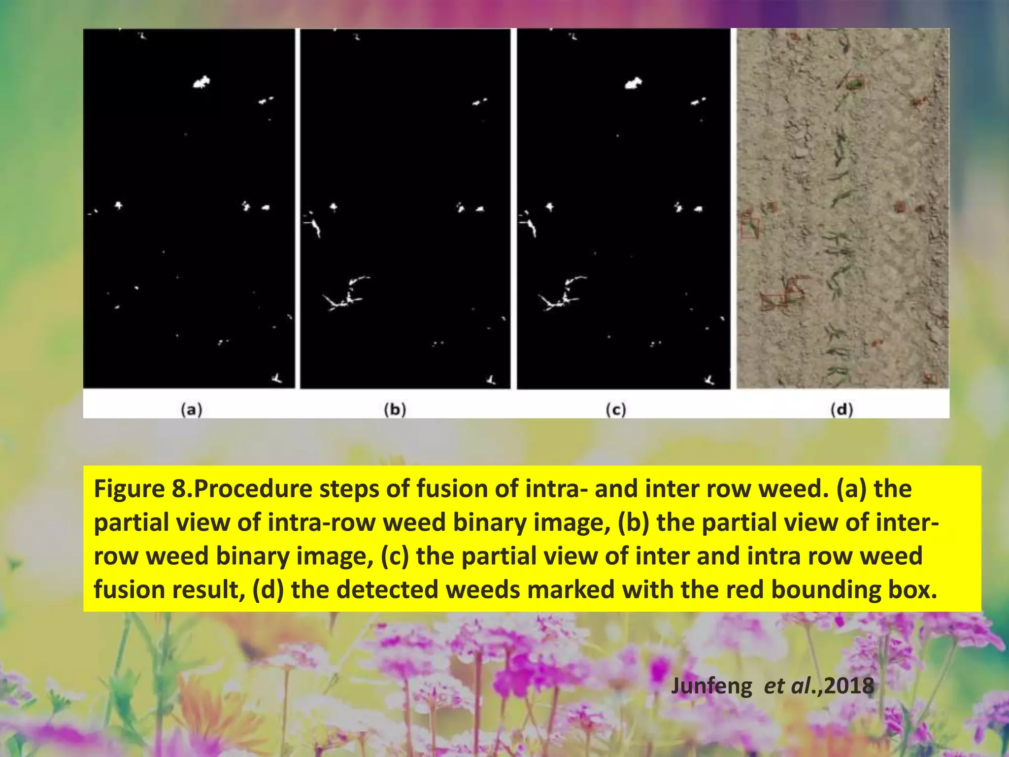 Weed management using remote sensing | PPTX