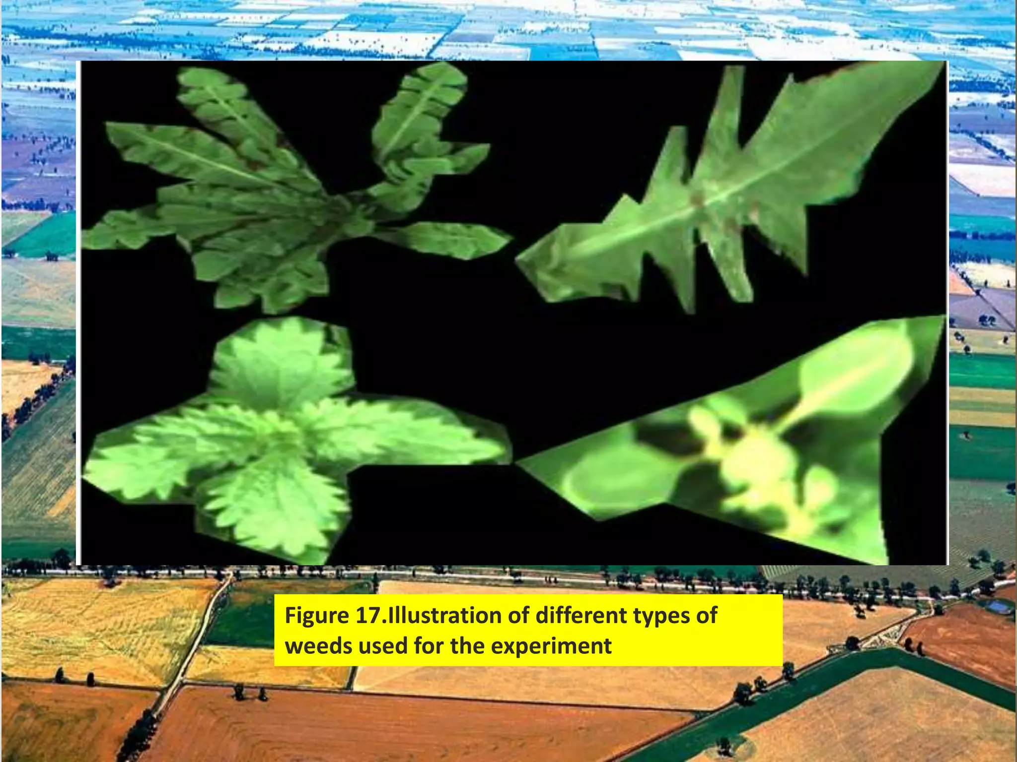Weed management using remote sensing | PPTX