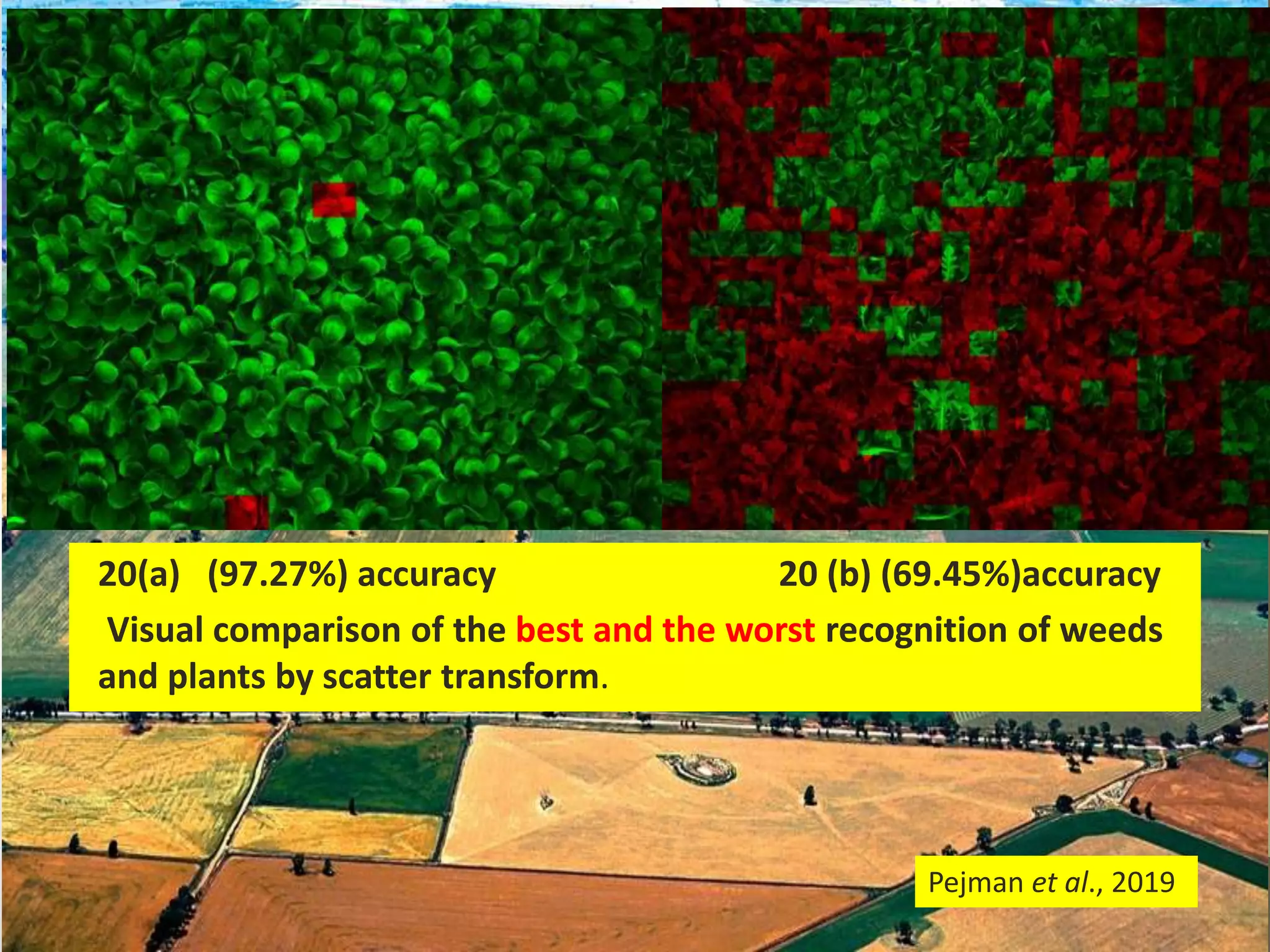 Weed management using remote sensing | PPTX