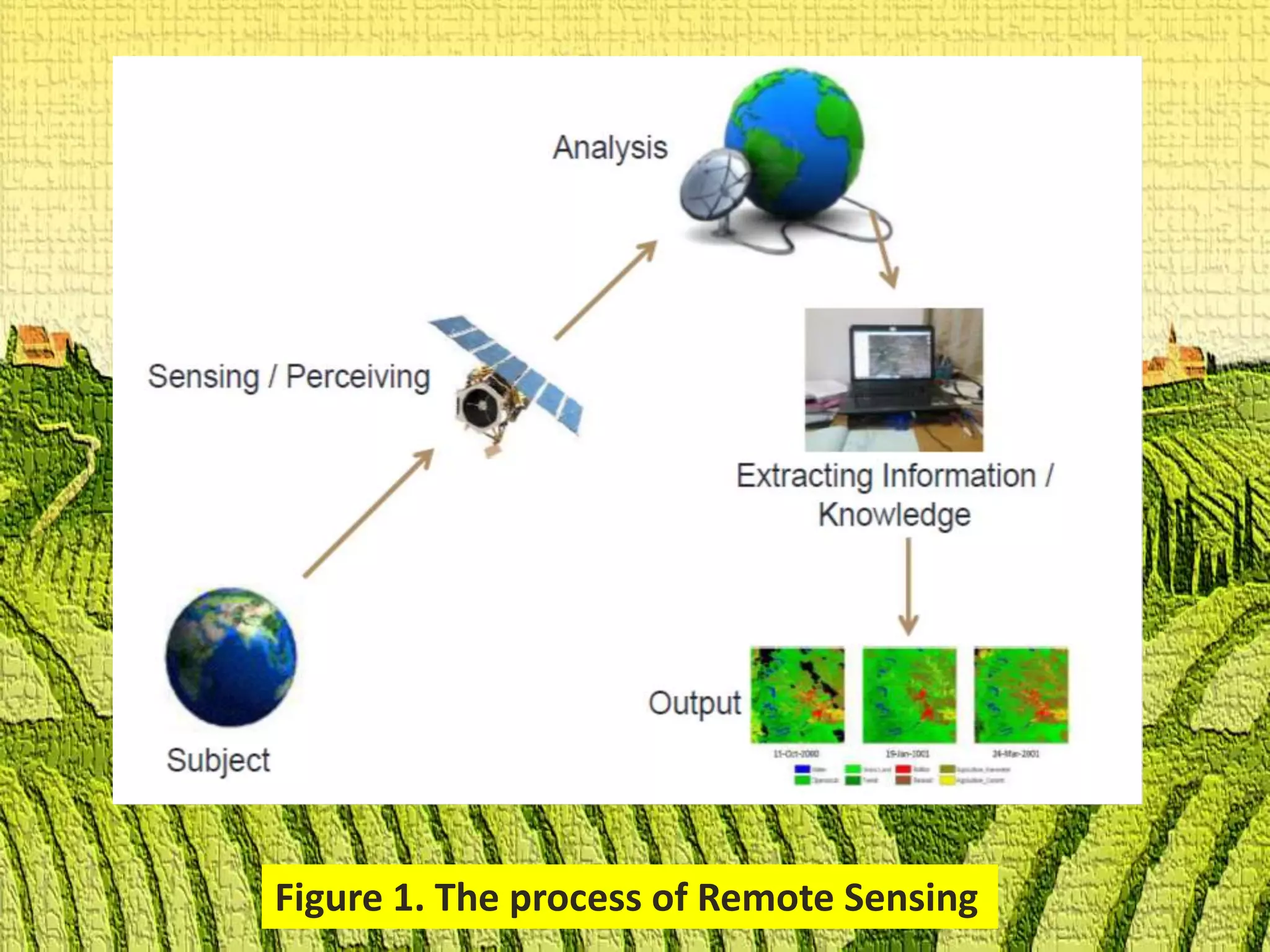 Weed management using remote sensing | PPTX