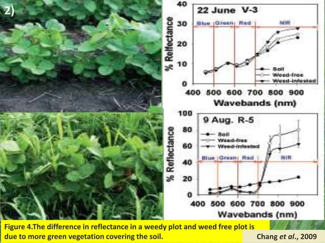 Weed management using remote sensing | PPTX | Agriculture | Industries