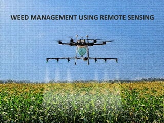 Weed management using remote sensing | PPTX