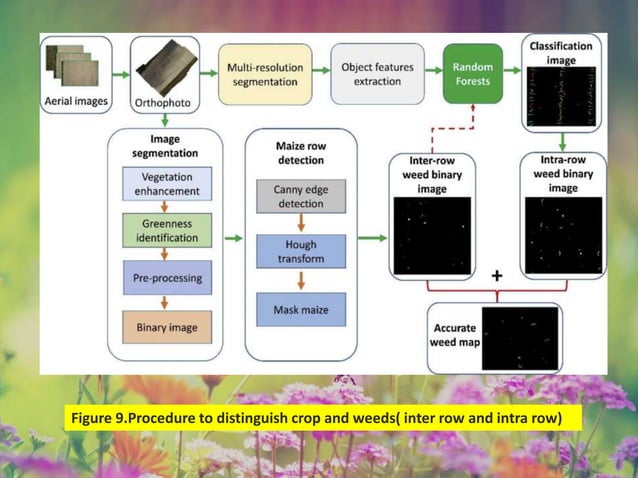 Weed management using remote sensing | PPTX | Agriculture | Industries