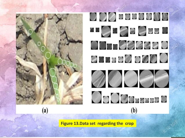Weed management using remote sensing | PPTX | Agriculture | Industries