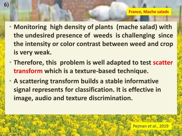 Weed management using remote sensing | PPTX | Agriculture | Industries