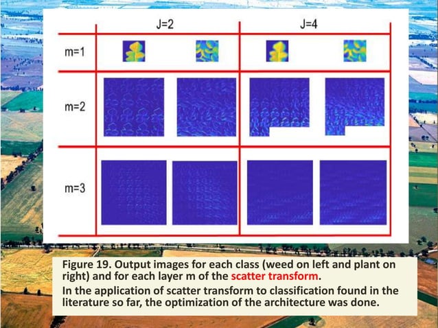 Weed management using remote sensing | PPTX | Agriculture | Industries