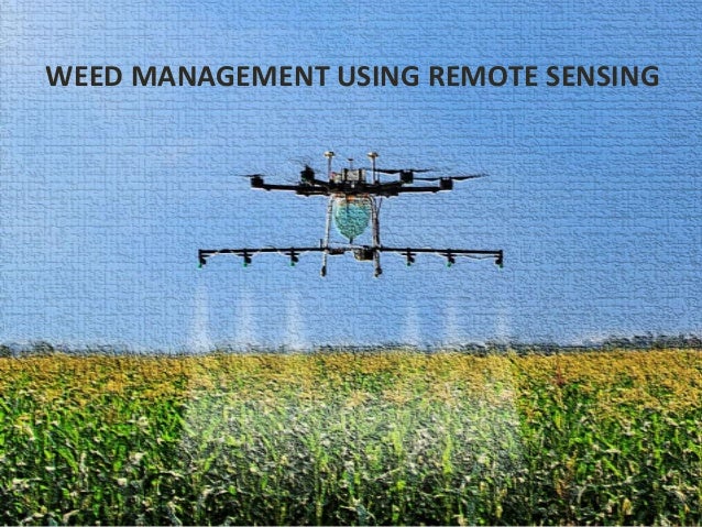 Weed management using remote sensing