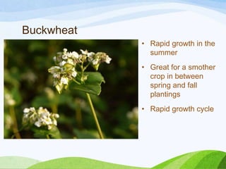 Weeds!!! | PPTX