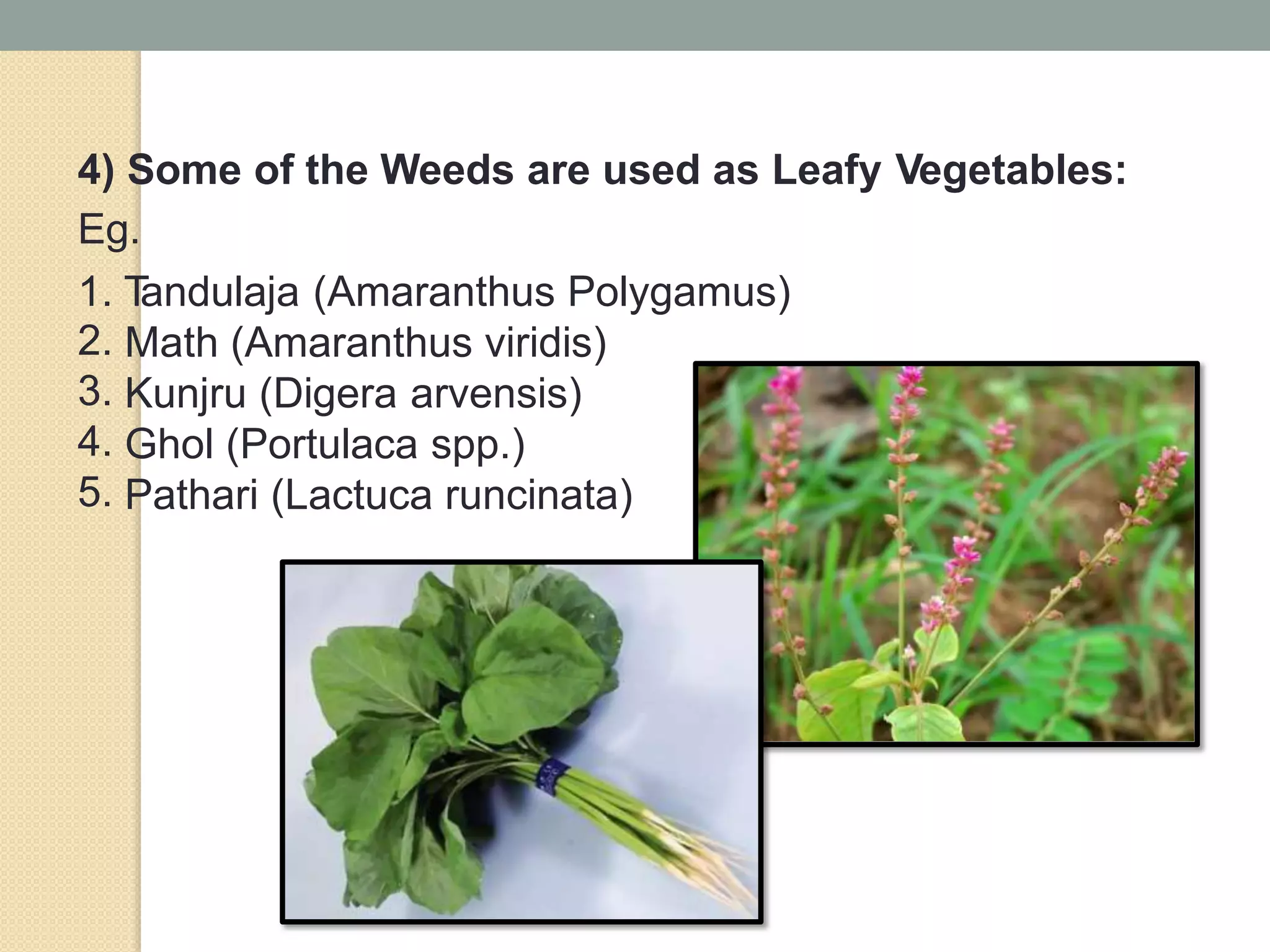 Weeds | PPTX