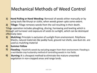 Weeds | PPTX