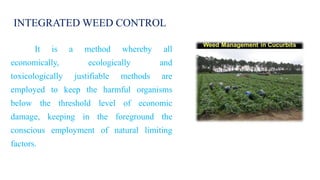 Integrated Weed Management in ASH GOURD | PPTX