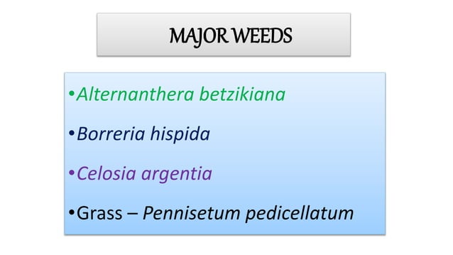 Integrated Weed Management in ASH GOURD | PPT