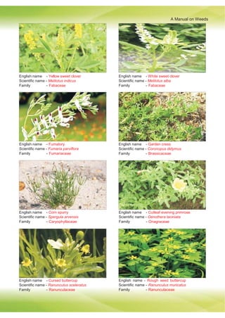 Weeds.pdf