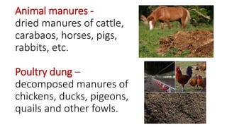 weeds.pptx...agricultural crop production 9 | PPTX