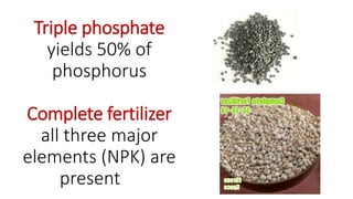 weeds.pptx...agricultural crop production 9 | PPTX
