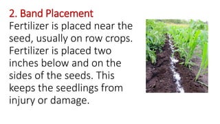 weeds.pptx...agricultural crop production 9 | PPTX