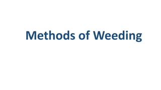 weeds.pptx...agricultural crop production 9 | PPTX