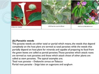 Definition of weeds , characteristics of weeds and its classification ...