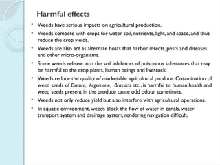 Definition of weeds , characteristics of weeds and its classification ...