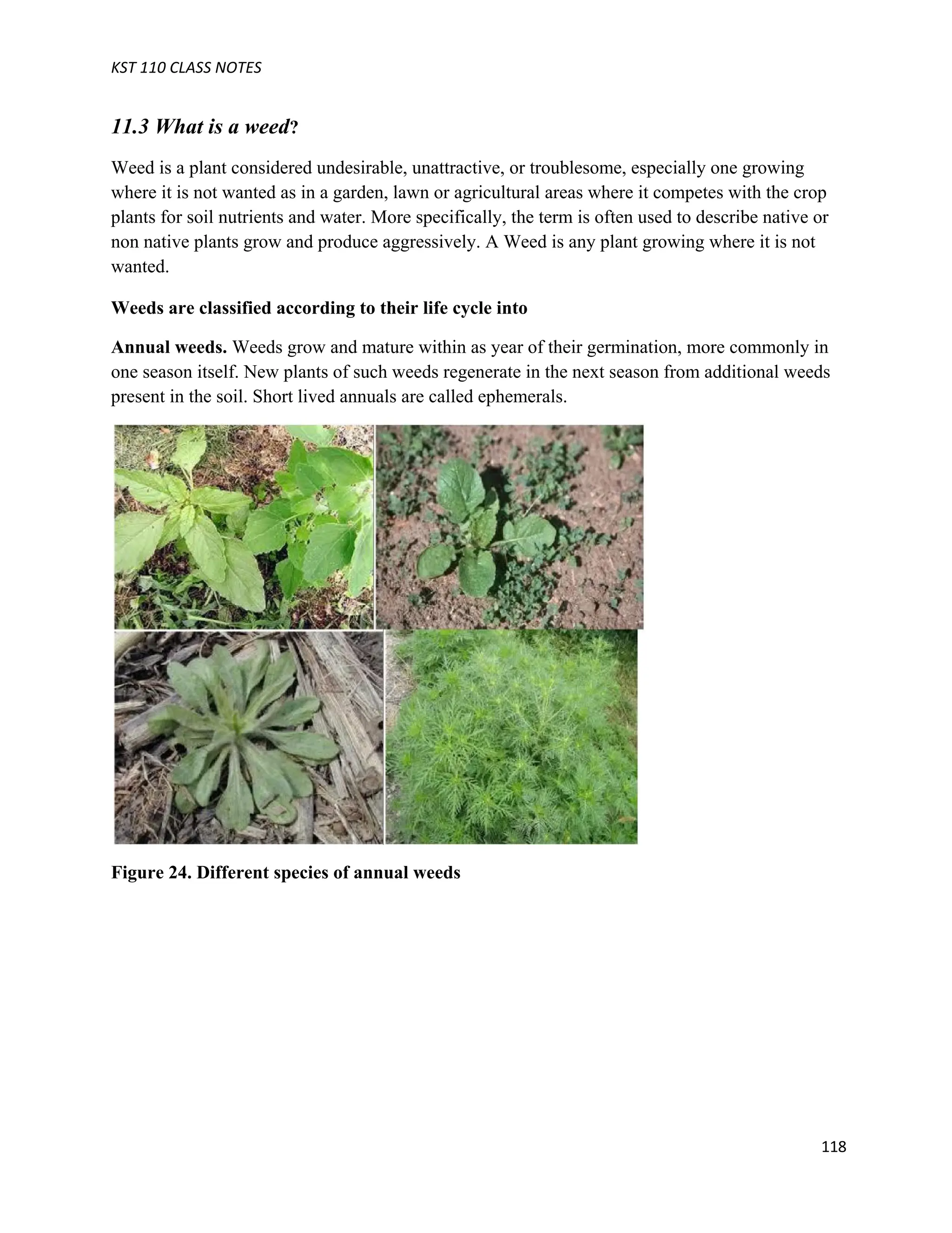 Weeds and weed management notes for crop protection | PDF