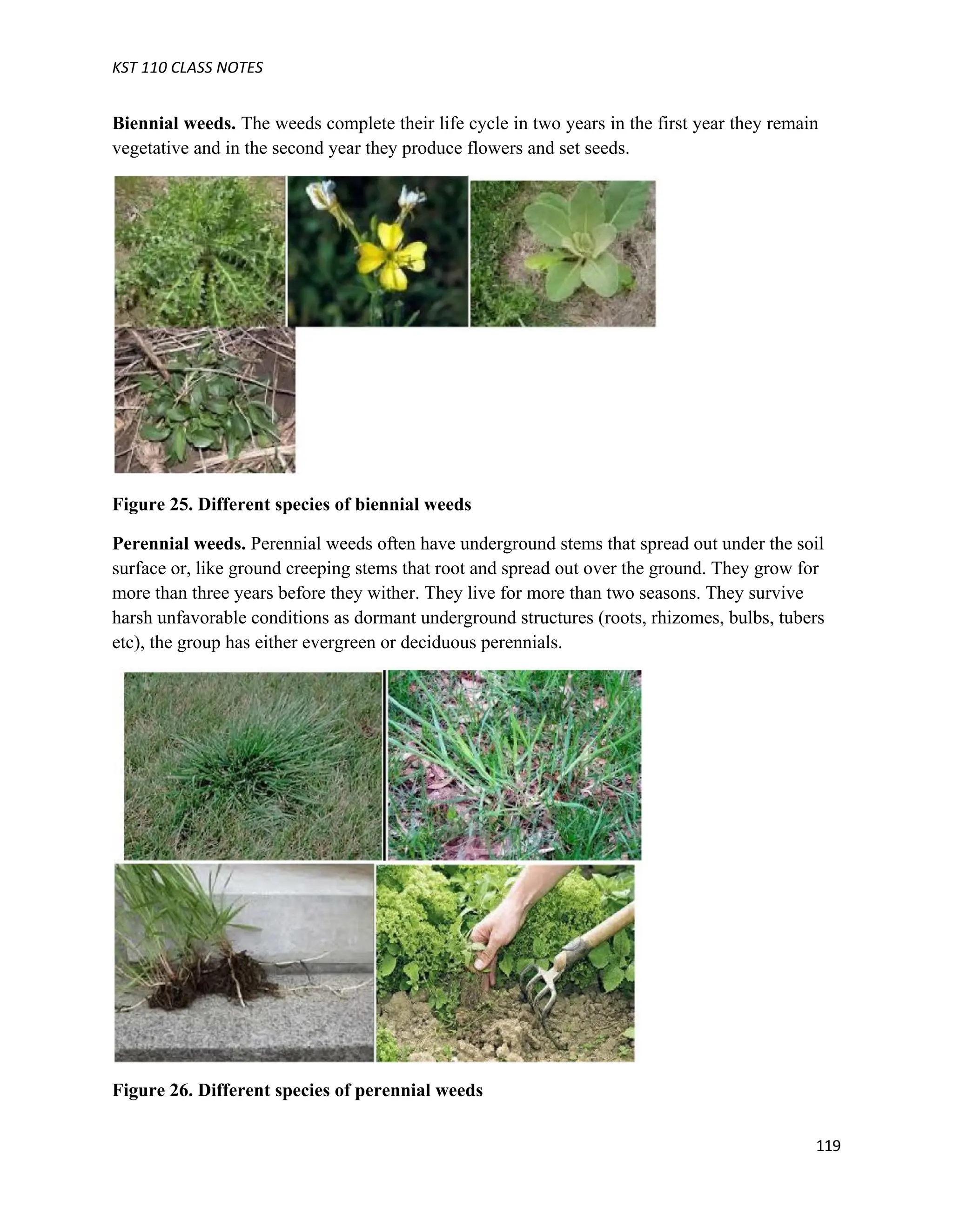 Weeds and weed management notes for crop protection | PDF