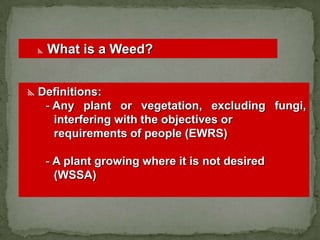 Weeds control in sugarcane | PPTX