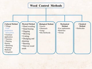 Principles & Methods of Weed control & Management | PPTX