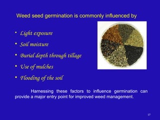 Weed Seed Bank Dynamics | PPT