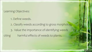 Different types of weeds sample and their classification | PPTX