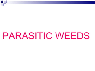 Weeds IDENTIFICATION photos | PPT
